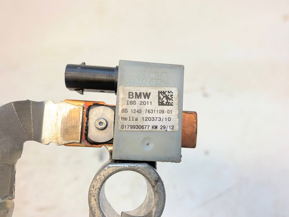 BMW F30 F31 F32 F33 F34 F36 3 & 4 Series Negative Battery IBS Cable 76 ...