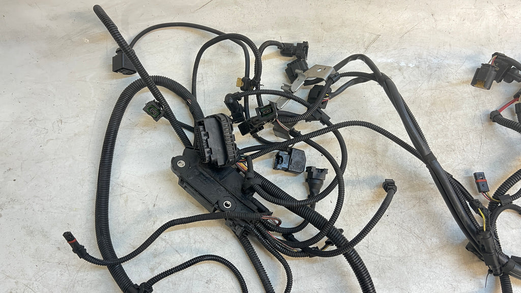 BMW F10 N55 ENGINE WIRING HARNESS SENSORIC MODULE 1 & 2 12518605138 ...