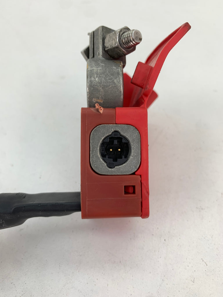 BMW F30 F31 F32 F33 F34 F36 3 & 4 Series Positive Battery Terminal/Pos ...