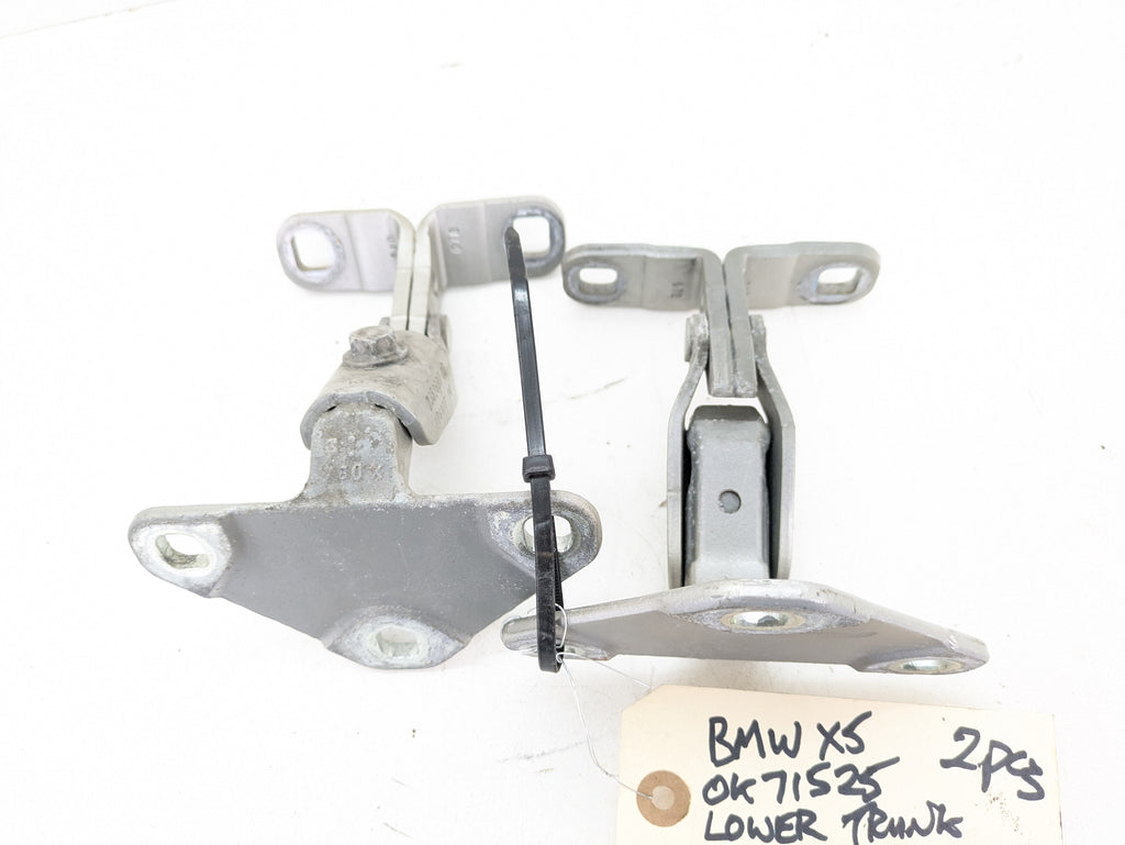 BMW F15 X5 35iX Left/Right Lower Hatch/Tailgate Hinge Set Mineral Silv ...